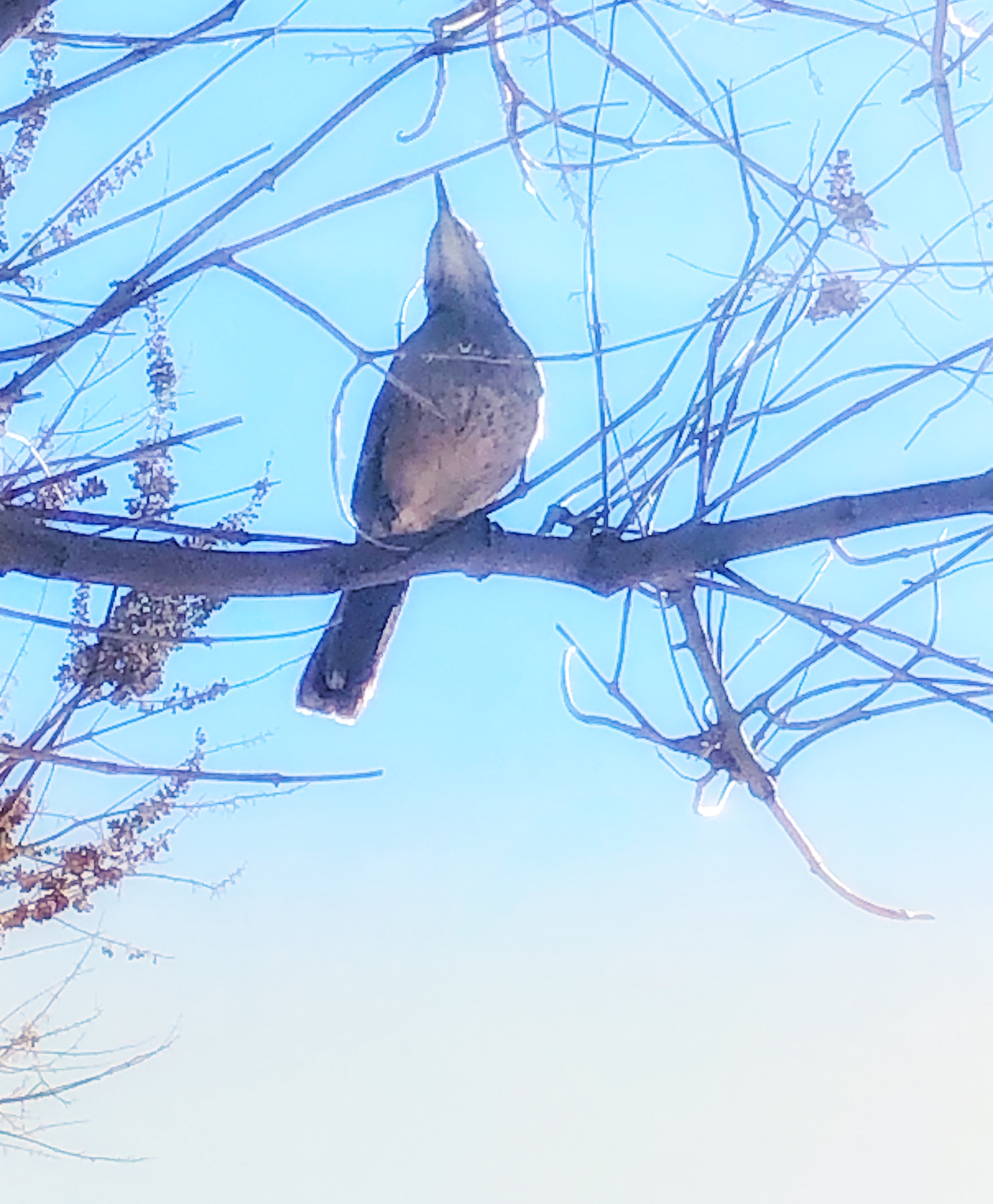 Sky Haiku 2 – Poetic Meanderings