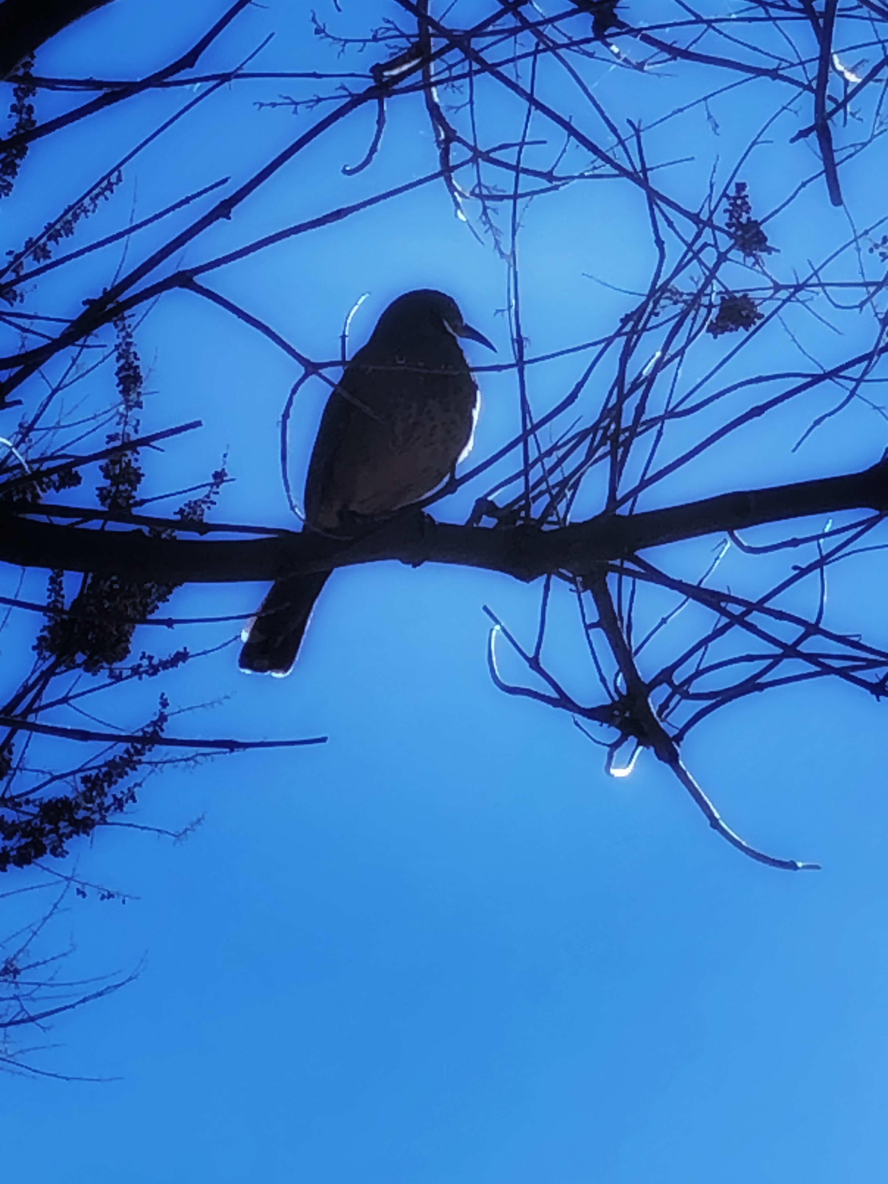 Sky Haiku 3 – Poetic Meanderings